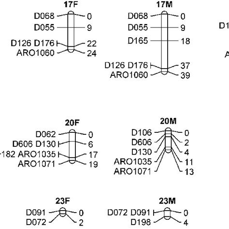 Sex Specific Linkage Maps Of White Grouper Lgs 16224 The Female F