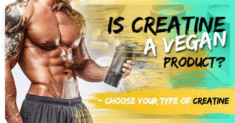 Blog Is Creatine A Vegan Product Bodybuilding And Sports Supplements