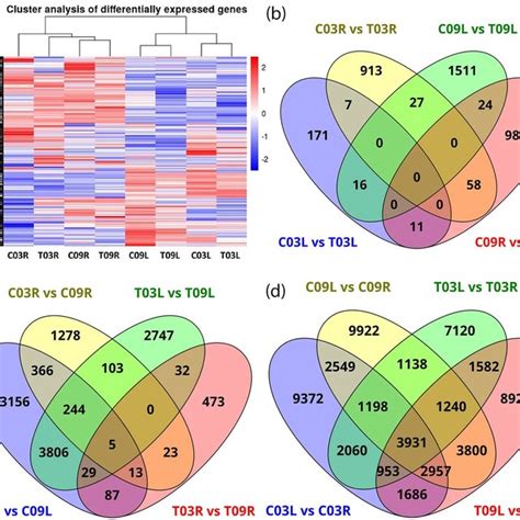 A A Heatmap Showing Expression Patterns Of Differentially Expressed
