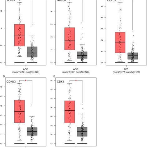 Validation Of The Five Hub Genes Expression Levels Between Normal