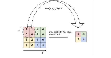 introduction to convolutional neural networks with weights and biases on