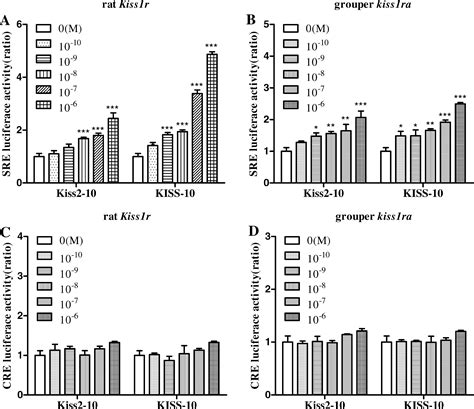 Molecular Identification Of The Kiss2 Kiss1ra System And Its Potential