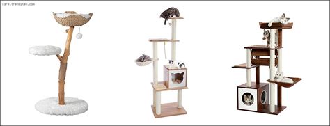 Top 10 Best Modern Cat Tree Based On Customer Ratings My Trenditex