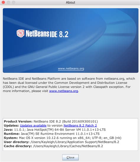 macos netbeans 8 2 won t run open on mac all of sudden