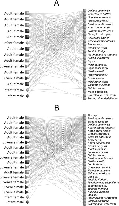 the role of sex and age in the architecture of intrapopulation howler