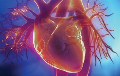 cardiovascular diseases an insight health vision