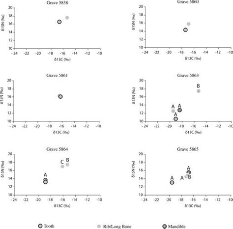 δ13c And δ15n Values From Teeth And Bone For Each Individual At