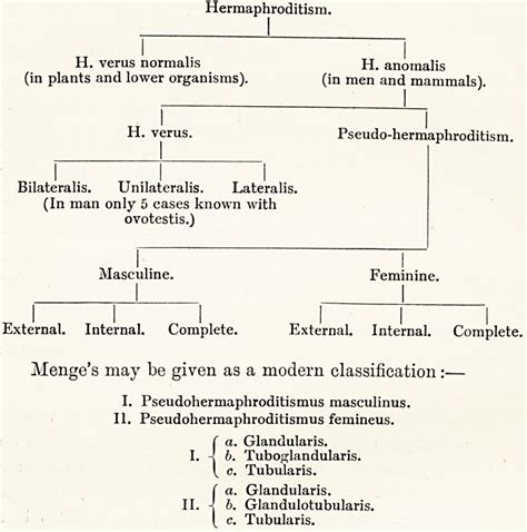 on the atypical male and female sex ensemble so called hermaphroditism