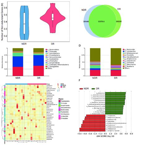 Characterization Of The Gut Microbiome From Metagenomic Data A The