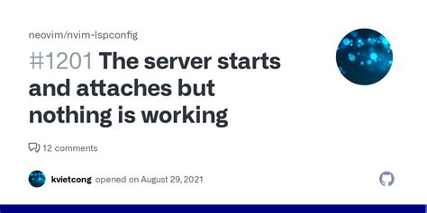 the server starts and attaches but nothing is working · issue 1201