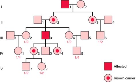 inheritance y linked inheritance disorders