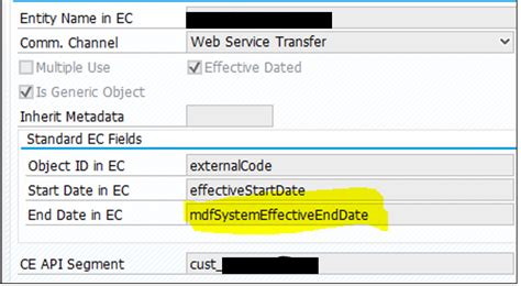 configuring custom entity for custom portlet for bib replication sap
