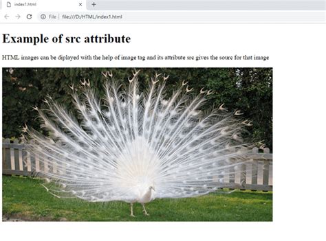 html5 attribute