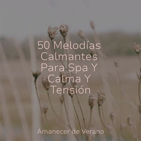 50 Melodías Calmantes Para Spa Y Calma Y Tensión Meditación Maestro