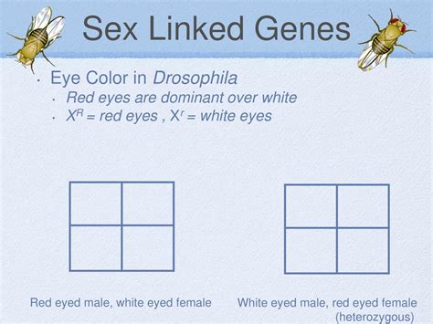 Heredity Chapter Ppt Download