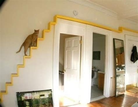 New Ideas For How To Make Your Home Ready For A Furry Guest