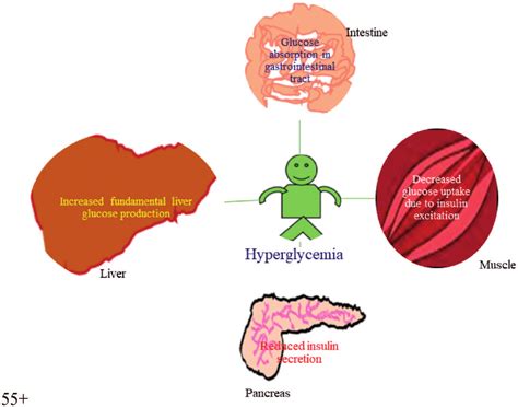 Pathophysiology Of Type 2 Diabetes Mellitus Download Scientific Diagram