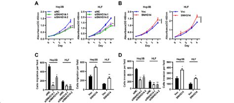 Snhg14 Promotes Proliferation Migration And Invasion Of Hcc Cells In