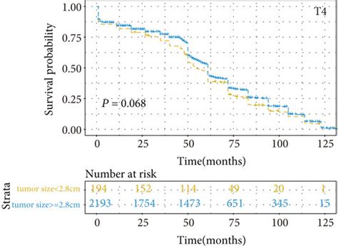 Kaplan Meier Survival Curves Compared Tumor Size Less Than 2 8 Cm With
