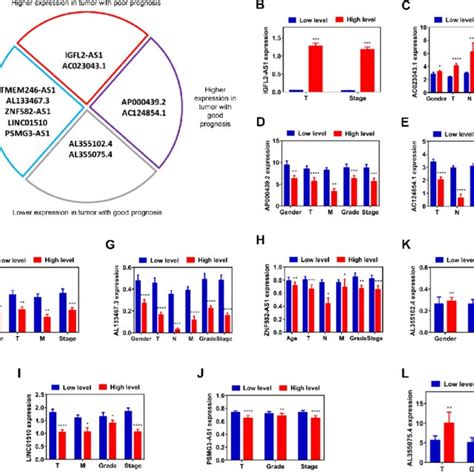 Assessment Of Correlation Between Candidate Lncrnas And Download