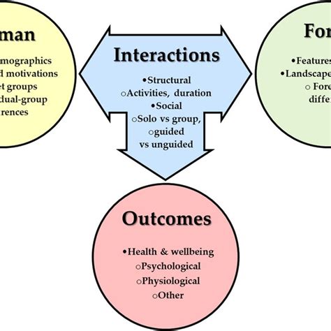 The Conventional Kap Model Where Practice Is Directly Proportional To