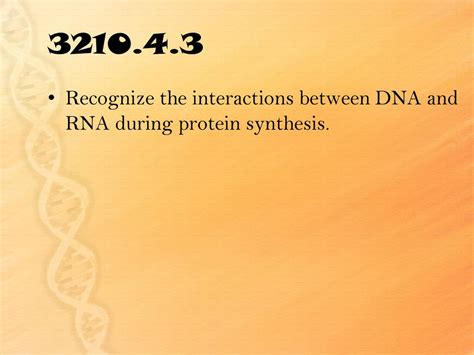 Macromolecule Building Block Job In The Body Ppt Download