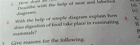 1 How Does Ait Help Of Neat And Labelled Diagrams 2 With The Help Of S