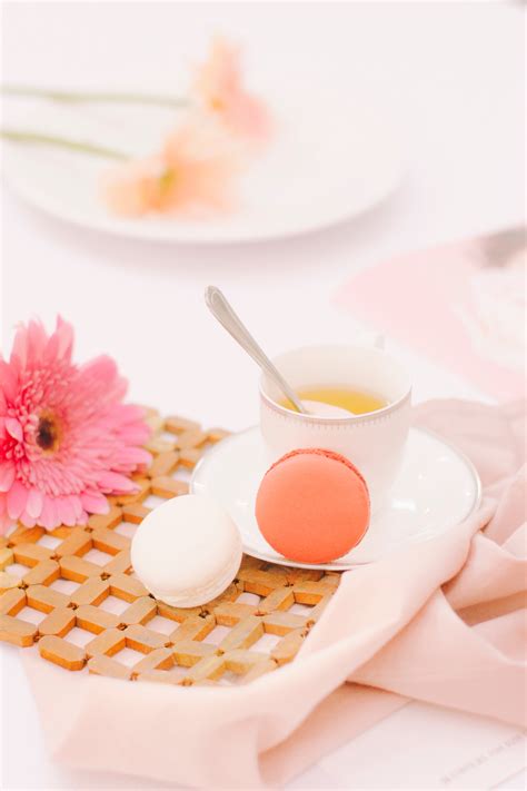 무료 이미지 표 꽃잎 요리 식품 생기게 하다 음주 담홍색 아침 식사 마카롱 디저트 맛 마크로 론