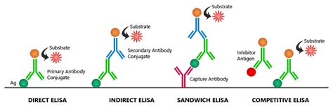 Elisa Fundamental Principle How It Works