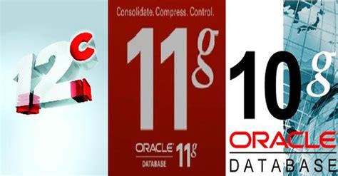 oracle pin table in memory 11g i decoration ideas