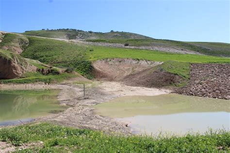 Green Climate Fund Approves 80 Million In Fao Led Projects In Congo