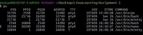 linux why am i not able to use o or format with ps
