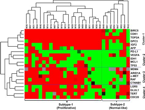 Heatmap Shows Gene Expression Z Scores Of Differentially Expressed Mrna