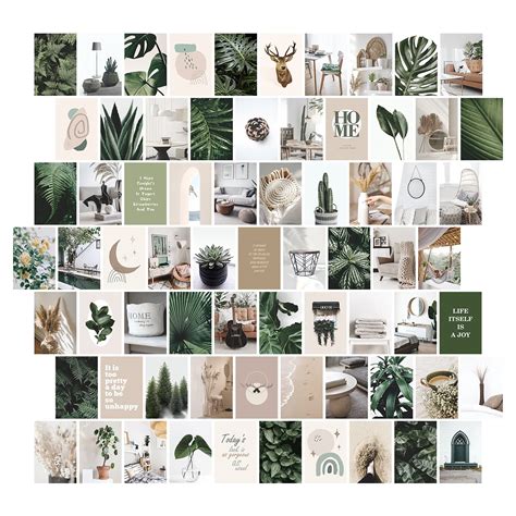 Buy Miany 70 Pcs Wall Collage Kit Aesthetic Pictures Boho Cottagecore