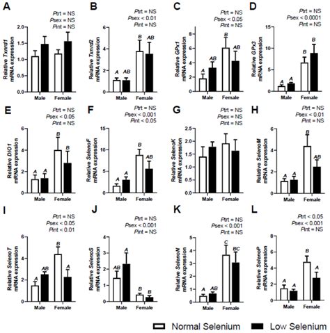 ijms free full text analysis of selenoprotein expression in