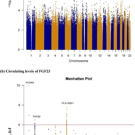 Manhattan Plot Of The Gwas Results For Fgf21 Snps Are Plotted On The X