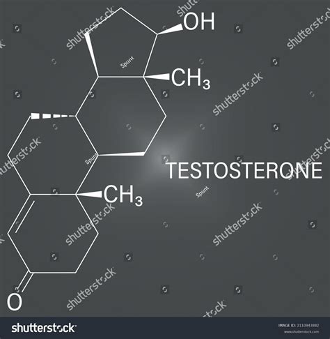 Testosterone Male Sex Hormone Androgen Molecule Stock Vector Royalty