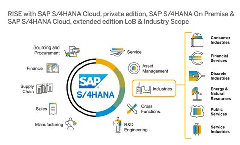digital transformation with rise with sap sap blogs