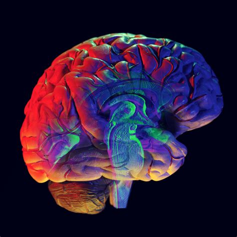 quick tips for a better brain the best brain possible