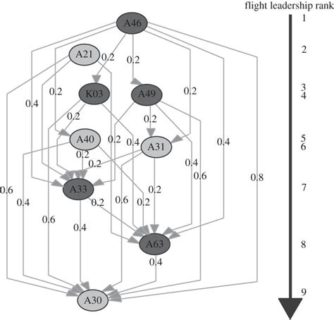 example of leadership hierarchy network shown is for flock ab site 2