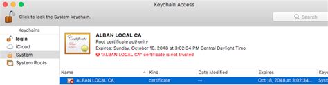 resolve annoying self signed ssl certificate issue on abap