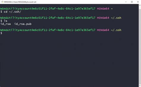 how to use public private key on windows using putty or
