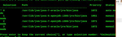 switch to oracle java jdk in 14 04 ask ubuntu