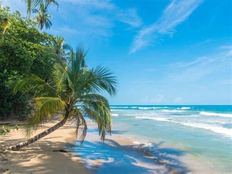 67 Things I Wish I Knew Before Going To Costa Rica Our Offbeat Life