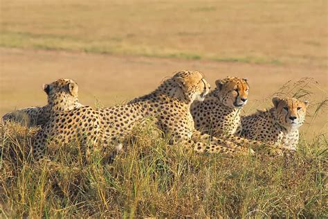 how to scale data with outliers for machine learning