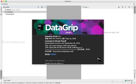 explain how to connect datagrip to ms sql server develop