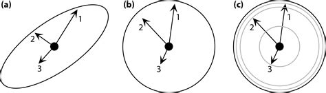 Symmetry Free Full Text Analyzing Fluctuating Asymmetry With