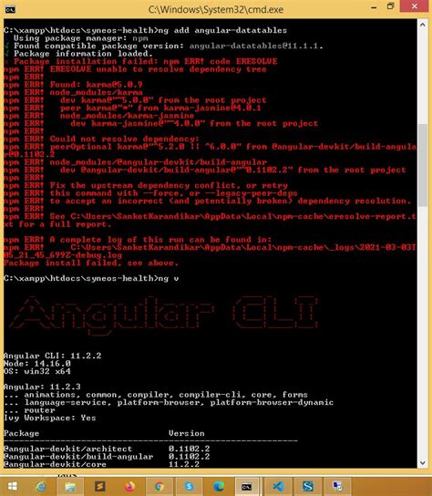 npm package installation failed while installing datatables in angular
