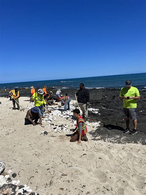Tmg Cleans Up Kona Village Beach In The Spirit Of Malama Aina Tmg