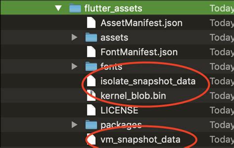 failed to find snapshot frameworks app framework flutter assets kernel